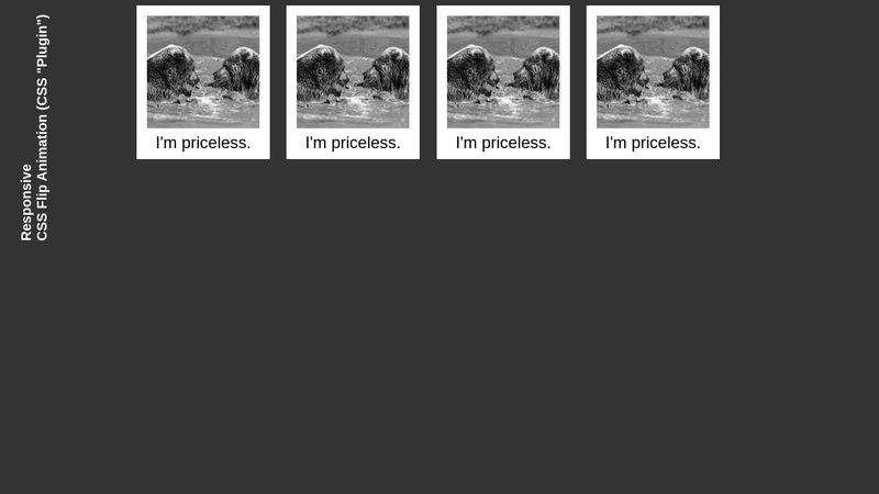 Pure CSS Animated Card/Photo Flip