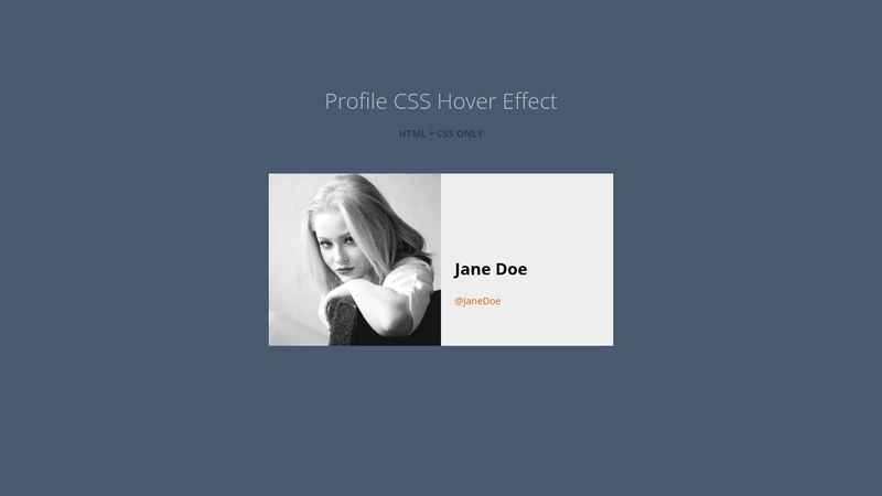 Profile CSS Hover Effect