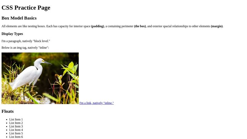 CSS Practice Starter-00-START