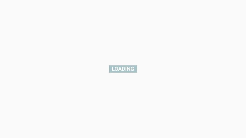 Logo load screen (pure CSS)