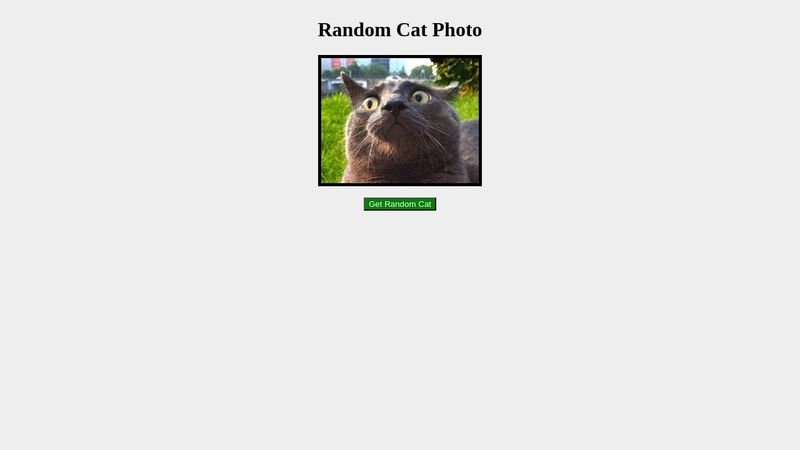 Random Cat Generator? - jQuery