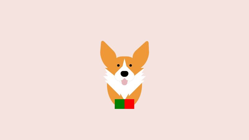 CSS Corgi