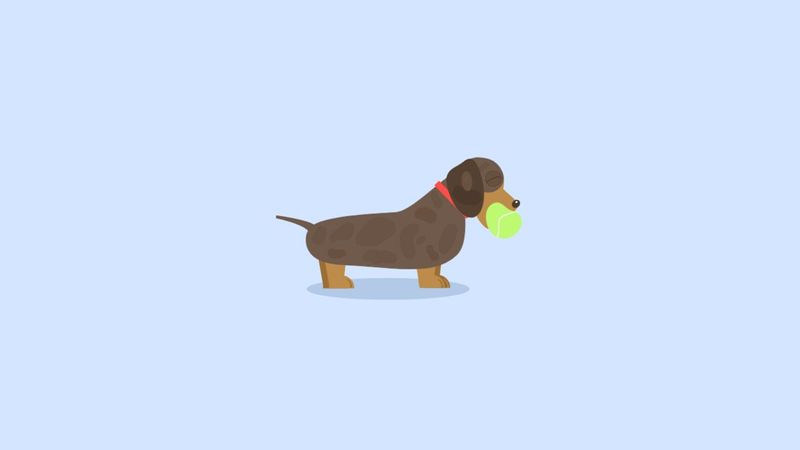 dog animation - CSS Art