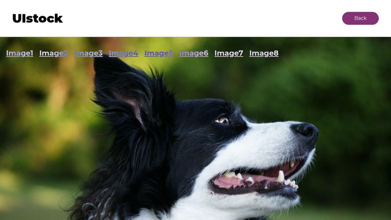 luxy.js｜Smooth Scroll｜Anchor link