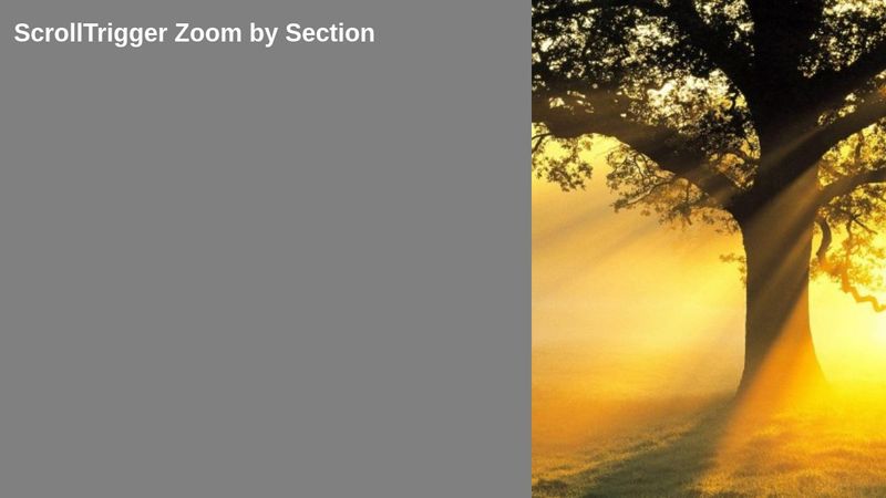 Zoom by section (ScrollTrigger, GSAP, and zoom() effect)