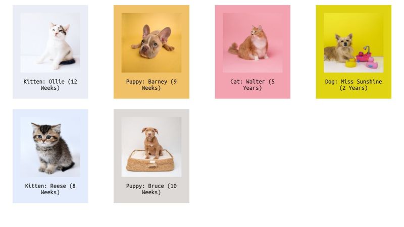 Photo Gallery - Codepen Challenge