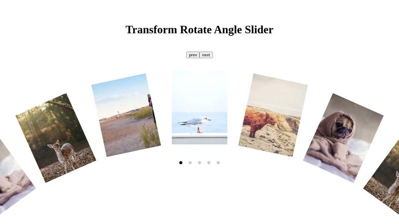 Transform Rotate Angle Slider