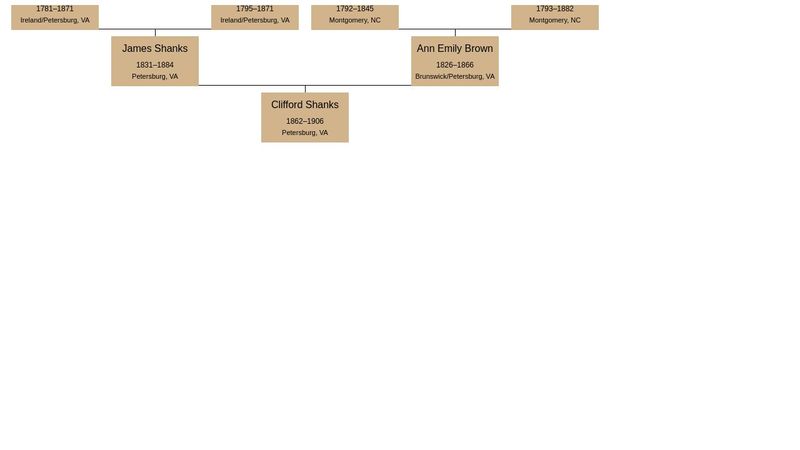 d3 family tree