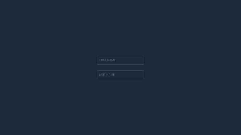 CSS Input Field Hover Effect