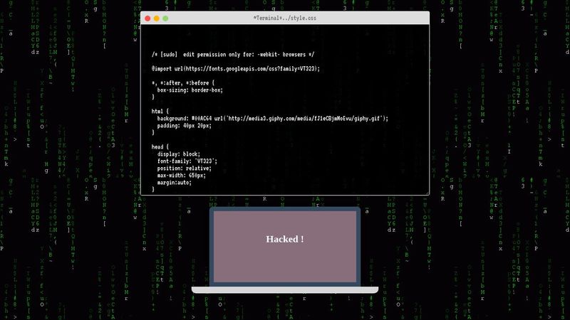 Css Terminal Hack