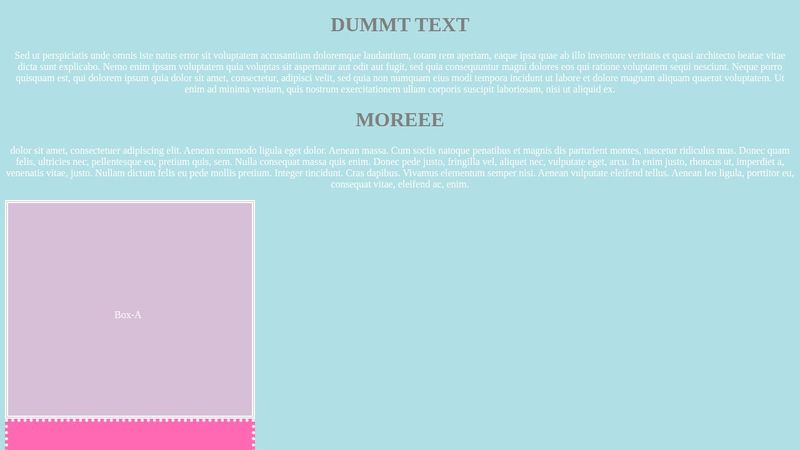 CSS Assignment 1