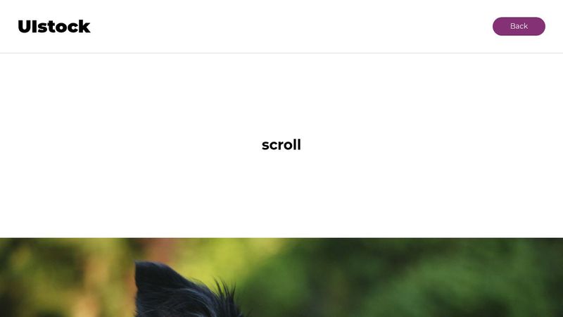 luxy.js｜Smooth Scroll｜Intersection Observer