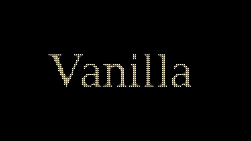 Vanilla Javascript Text Animation