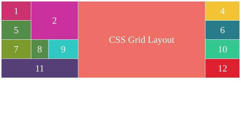 CodePen - A Pen by Eity Akter