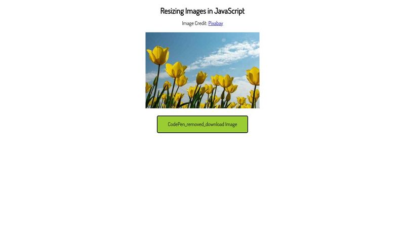 Resizing Images in JavaScript Simplified