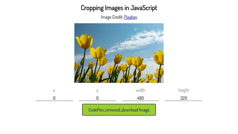Cropping Images in JavaScript