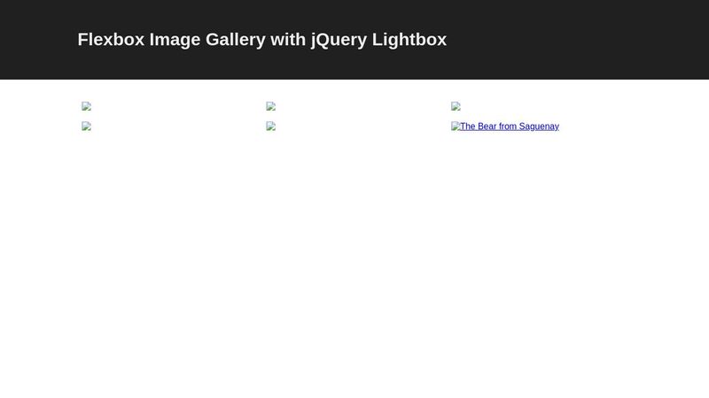 Flexbox Image Gallery with jQuery Lightbox
