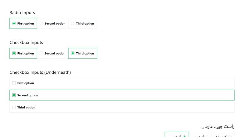 Checkbox & Radio Input Group