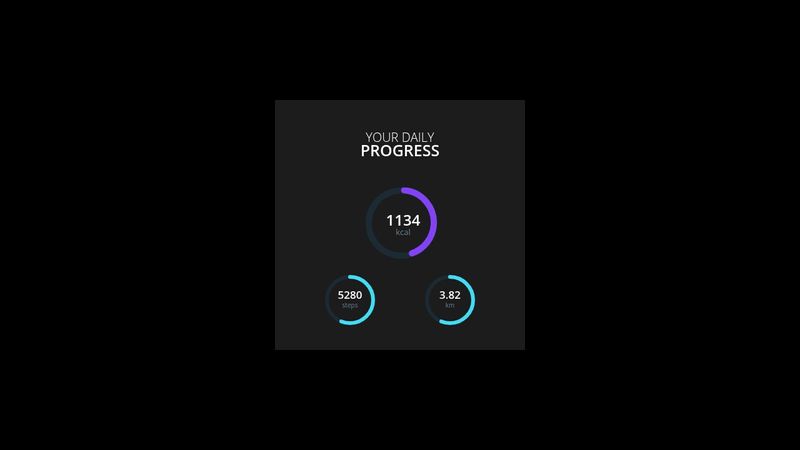 days css Fitness Tracker100 N° 022