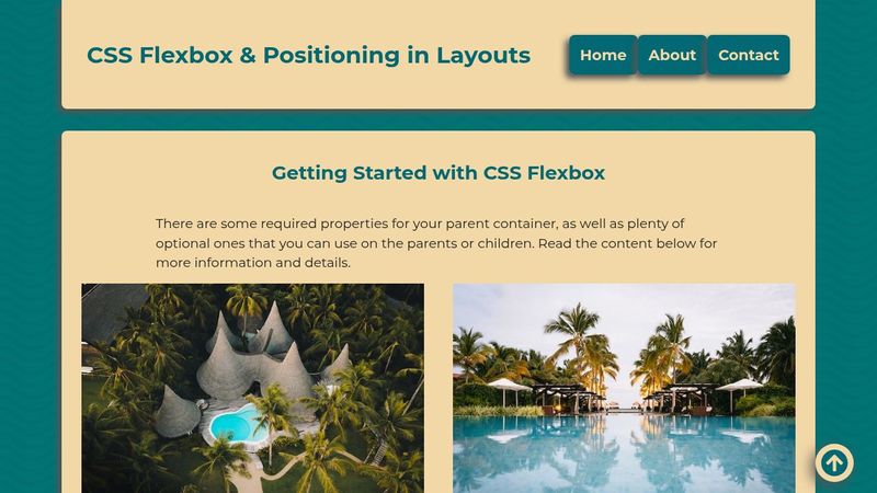 Flexbox & Positioning Introduction - STARTER - PLEASE FORK - SPRING B