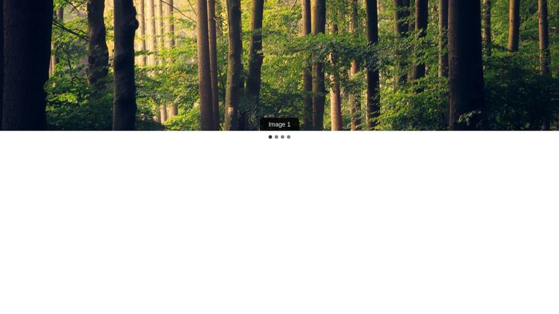 Image slider with dots (pure JS)