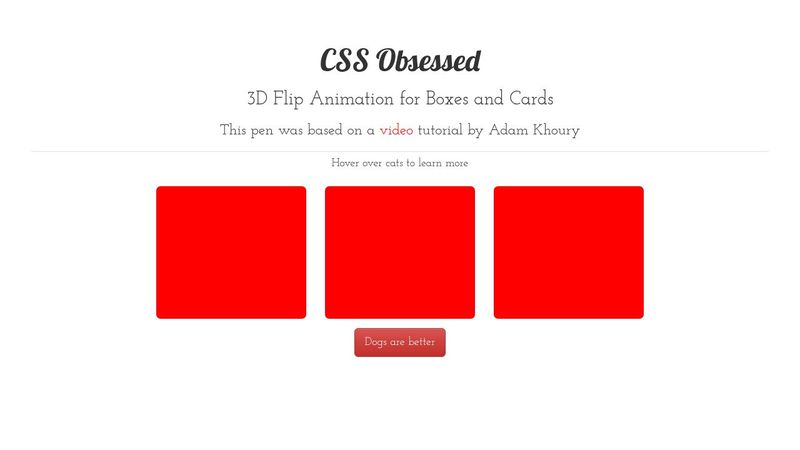 CSS 3D Flip Animation