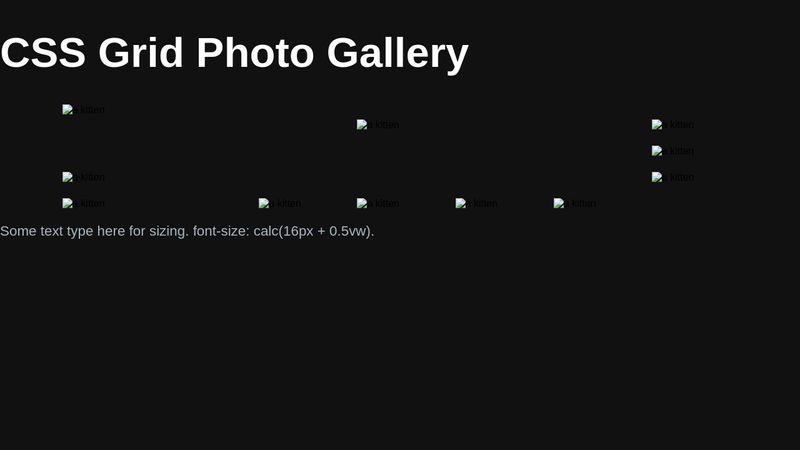 CSS Grid Photo Gallery