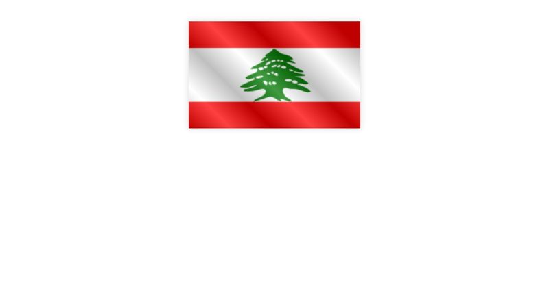 css static waving flag effect