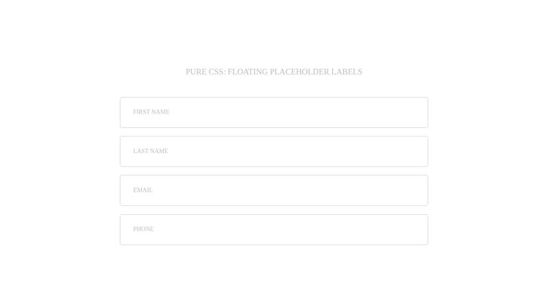 Pure CSS: floating placeholder labels