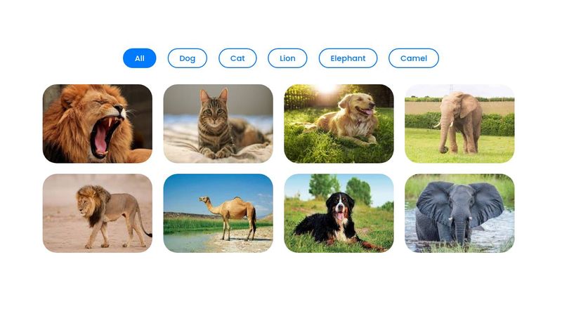 Responsive Filterable Image Gallery