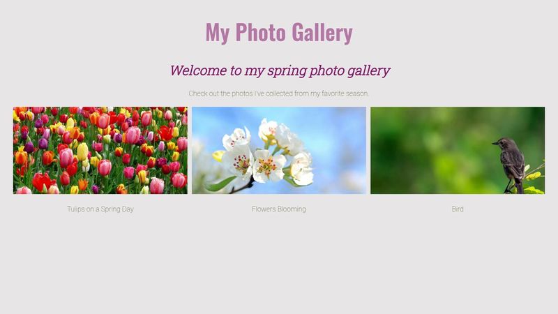 Photo Gallery Project