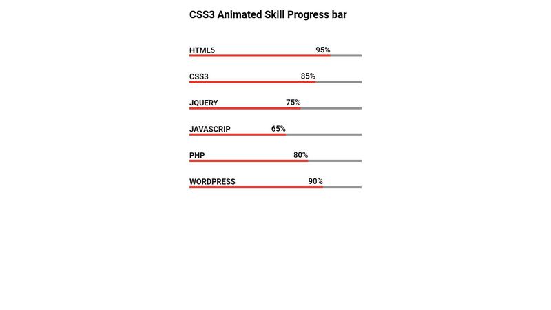 CSS3 Animated Skill Progress bar