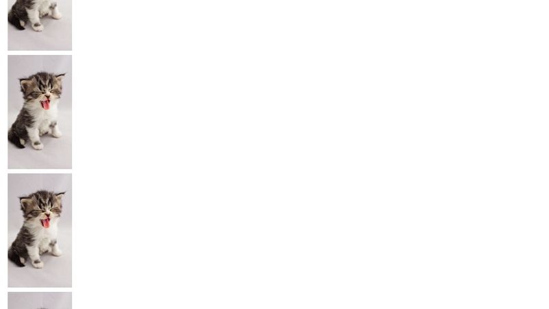 CSS animation vertical move up and down with multiple photos