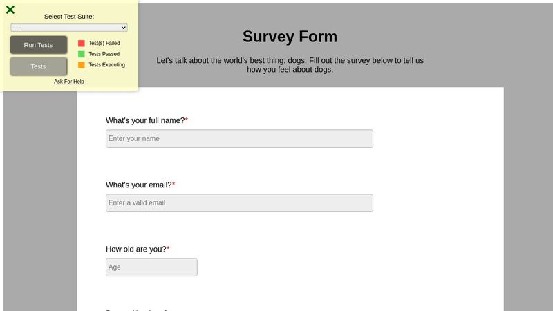 FreeCodeCamp: Survey Form