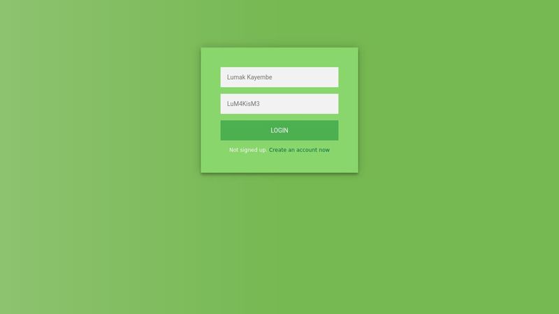 CSS simple form