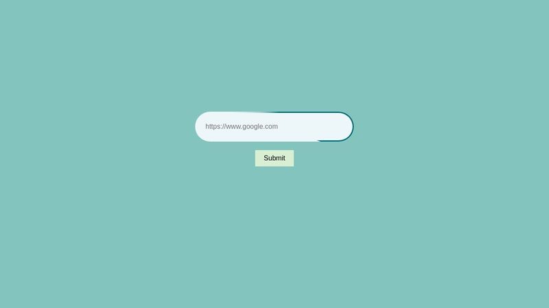 Fancy input border animation (CSS only)