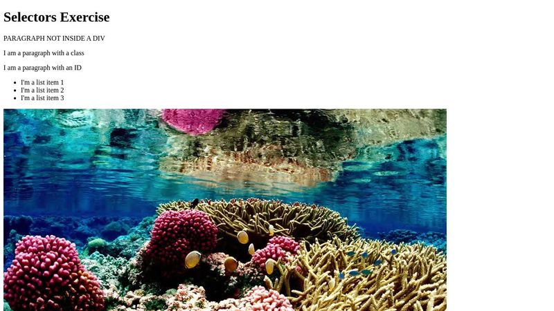 CSS Selectors Practice Exercise