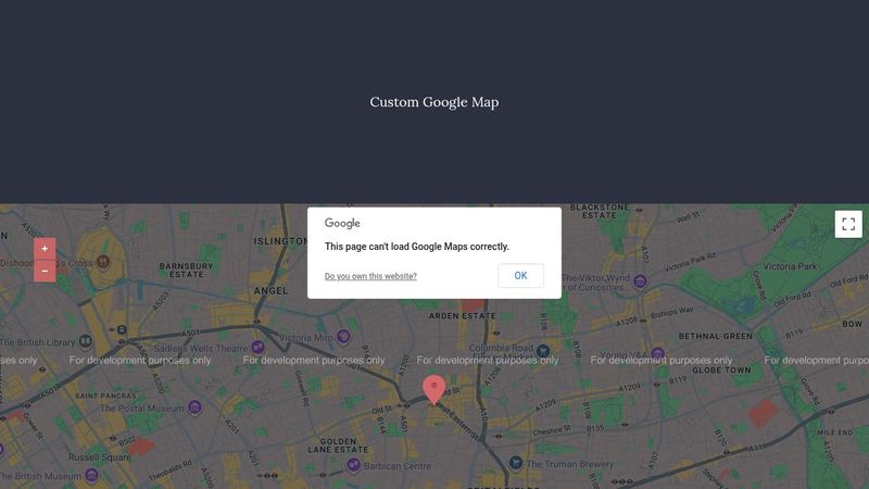 Custom Google Map