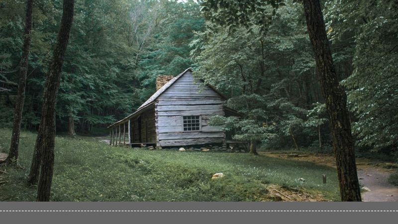 travelling-car-bus-html-css