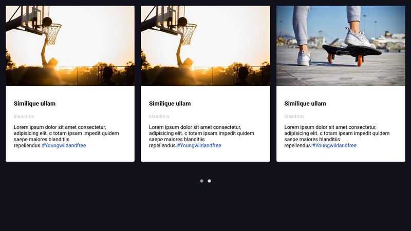 Owl Carousel Overlay