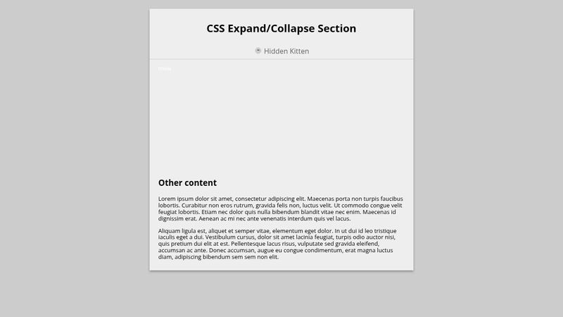 CSS Expand/Collapse Section