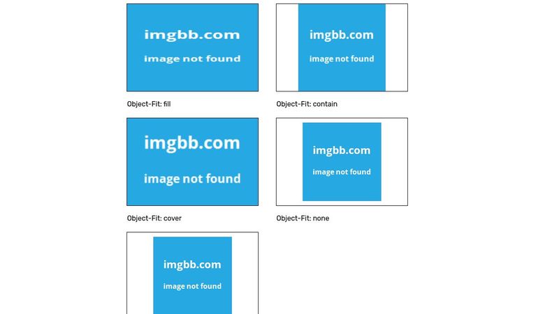 Understanding Object-Fit CSS