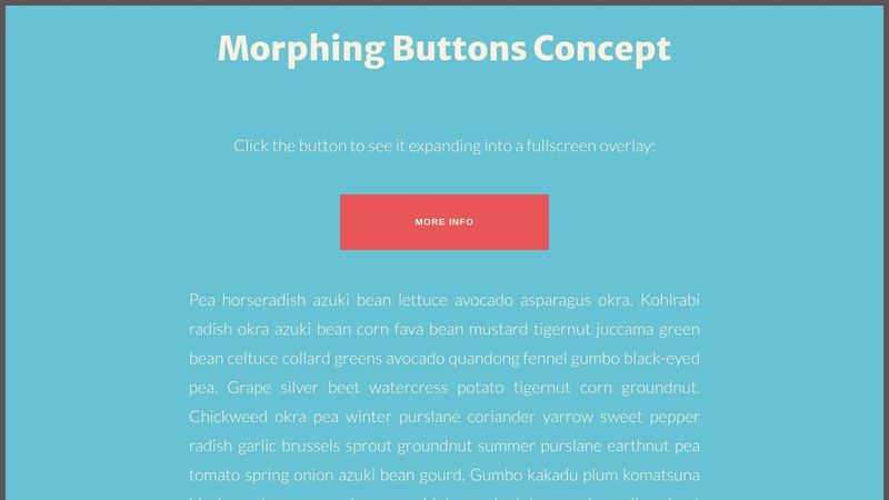 Morphing Buttons Concept