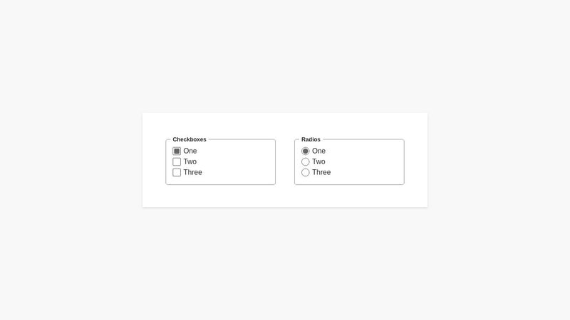 Custom Checkboxes and Radio Inputs