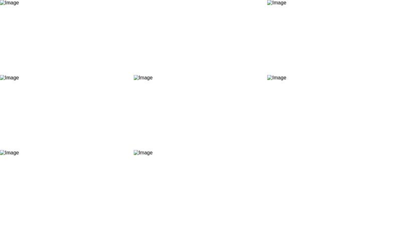 CSS Grid image gallery using object-fit