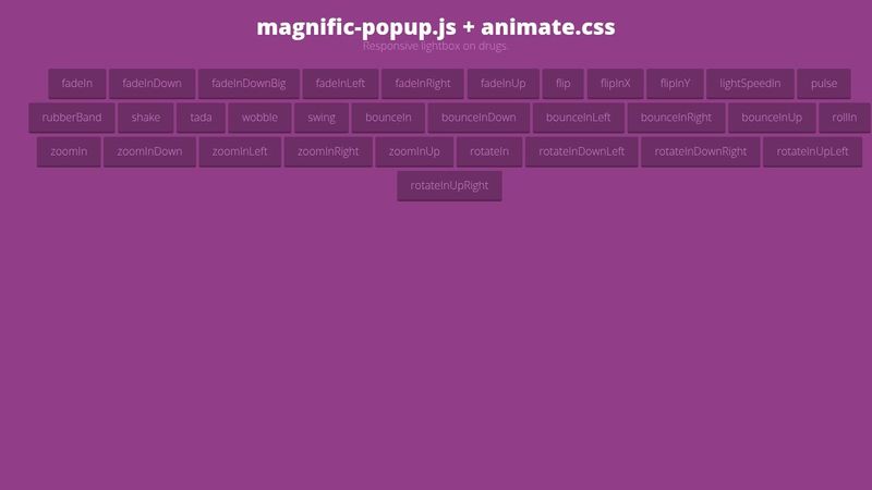 Magnific Popup + Animate.css