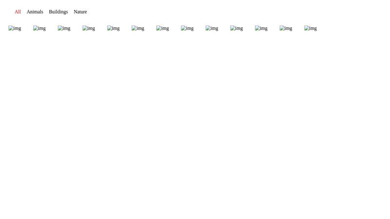 Gallery Category Filter