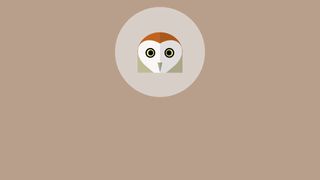 Owl | Pure CSS Image - Animation