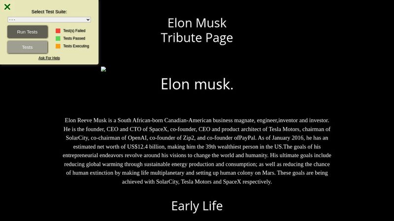 Elon Musk Tribute Page