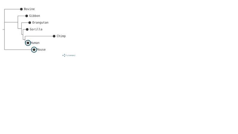 PHYLOCANVAS.GL Examples - Select Leaf Nodes